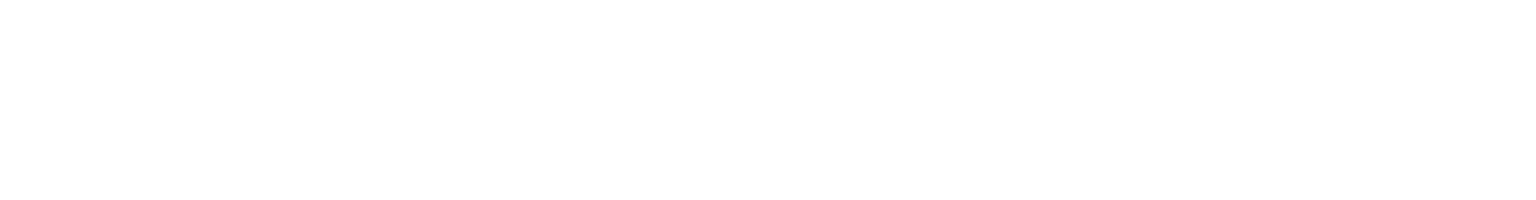 ChartMill Stock Screener Review